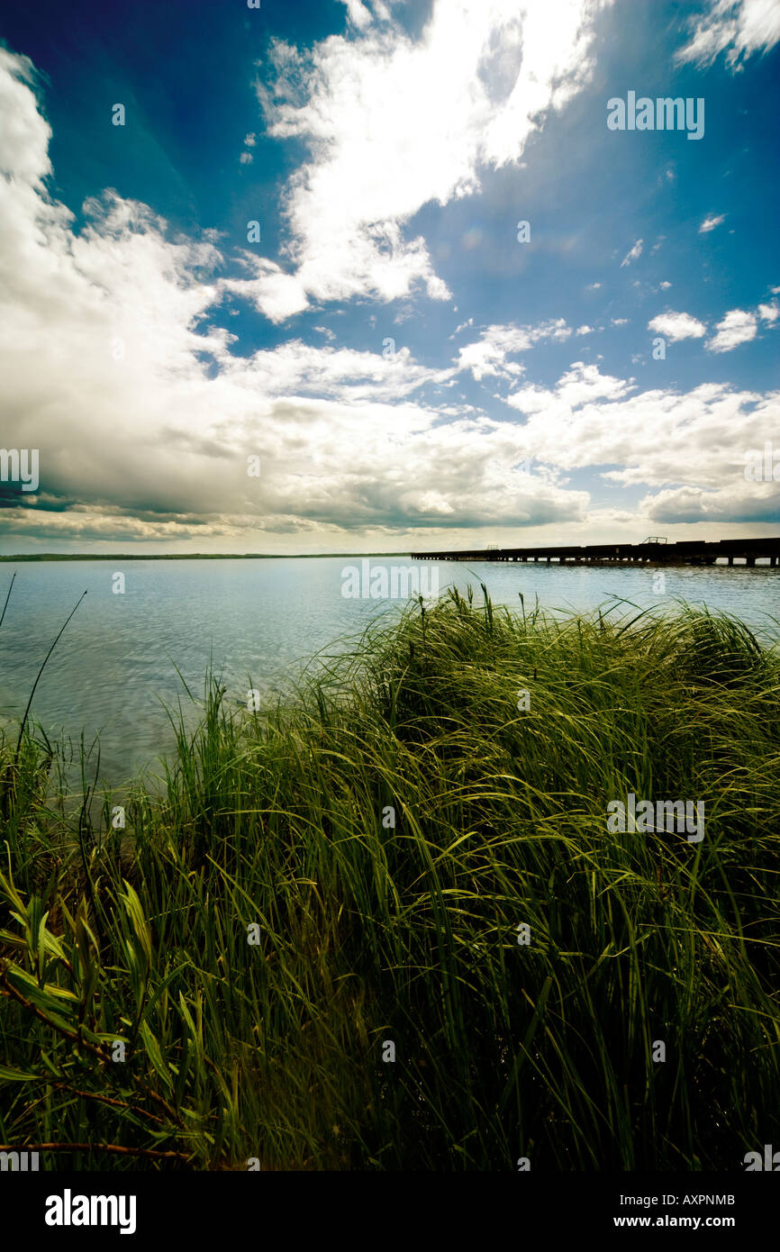 Grassland by Water Stock Photo - Alamy