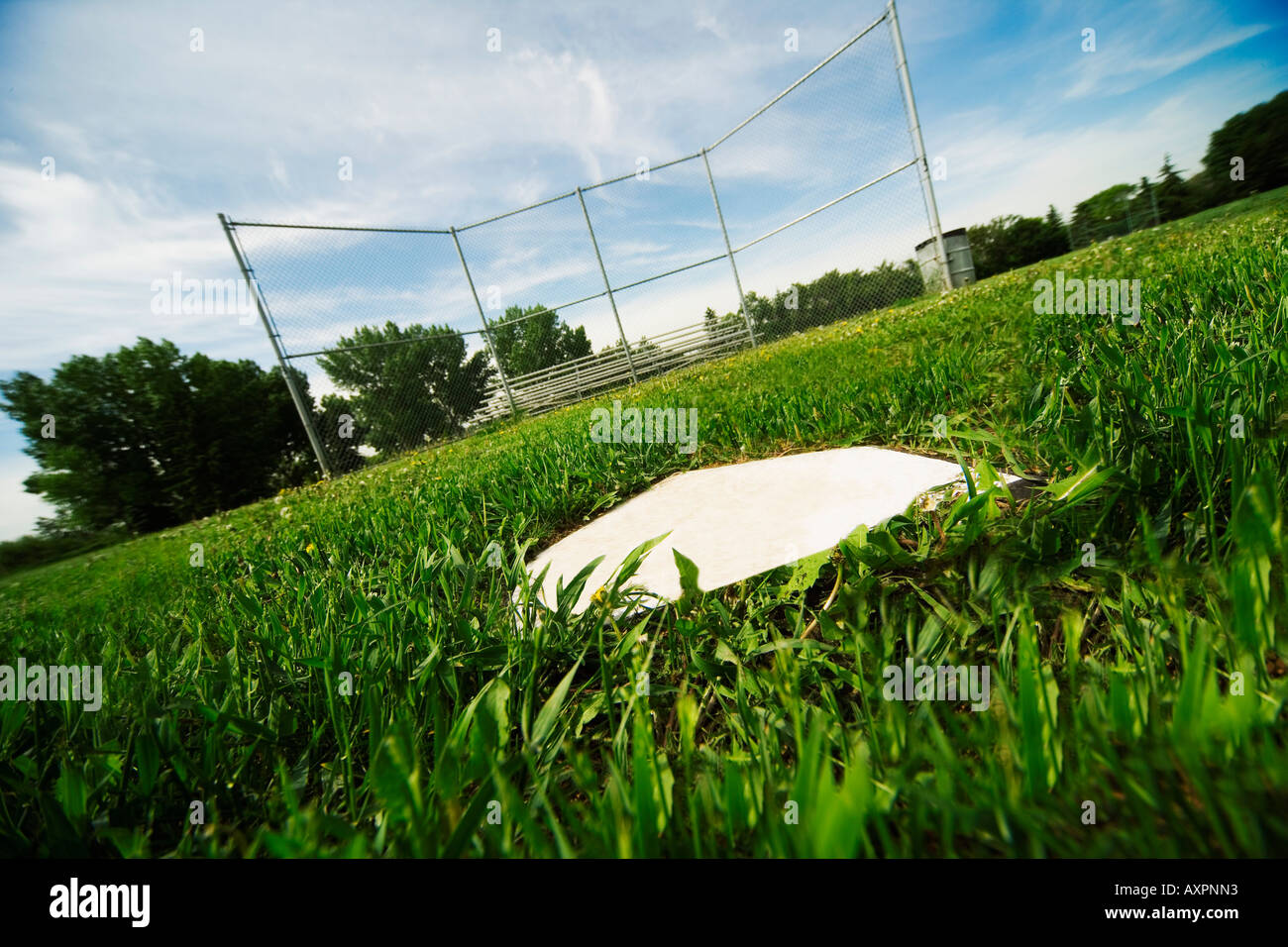 Angles baseball hi-res stock photography and images - Alamy