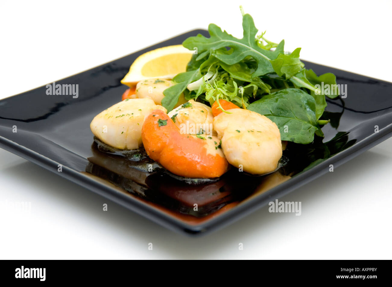 Scallops plate hi-res stock photography and images - Alamy