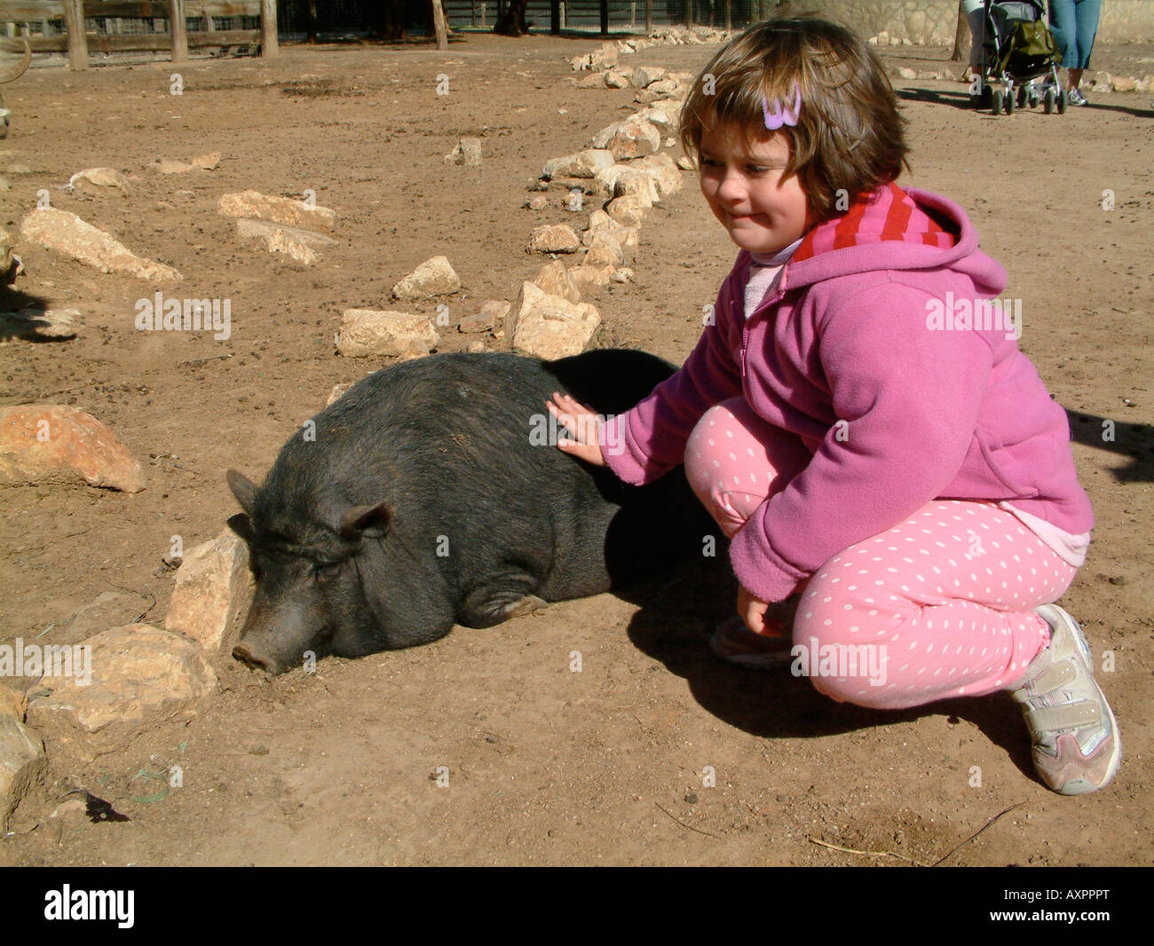 Patting a pig hi-res stock photography and images - Alamy