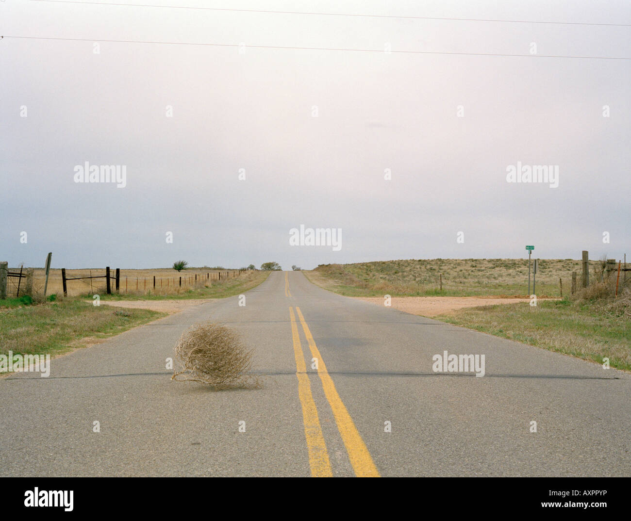 Looking straight down an empty highway stretching to the horizon, a ...