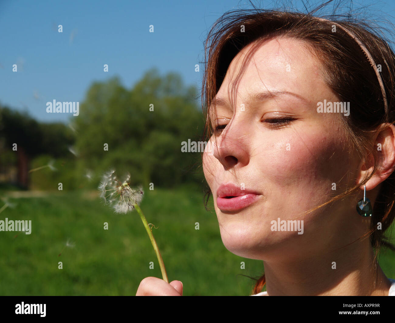 Girl blowing dandelion Stock Photo - Alamy