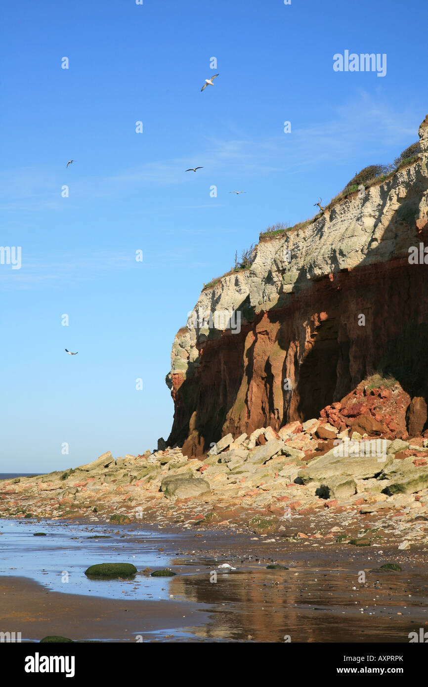 The Cliffs of Hunstanton Stock Photo - Alamy