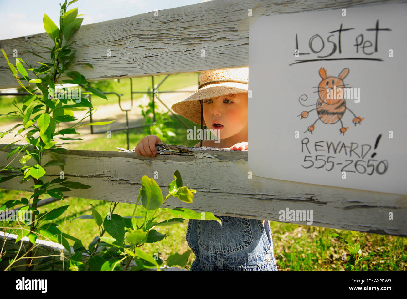 Boy searching for lost cat Stock Photo - Alamy