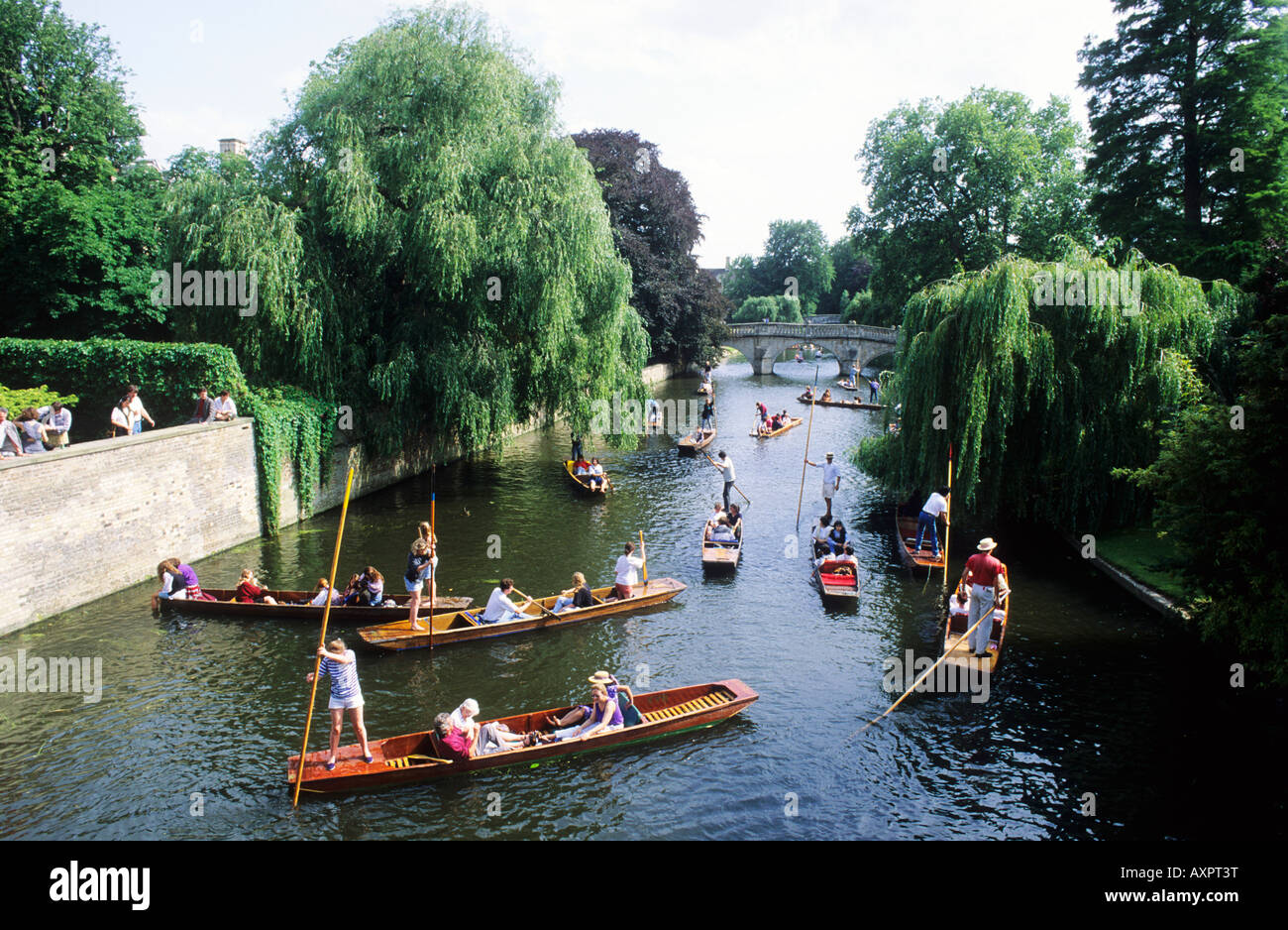 Punting River Cam Cambridge people students poles weeping willow trees ...