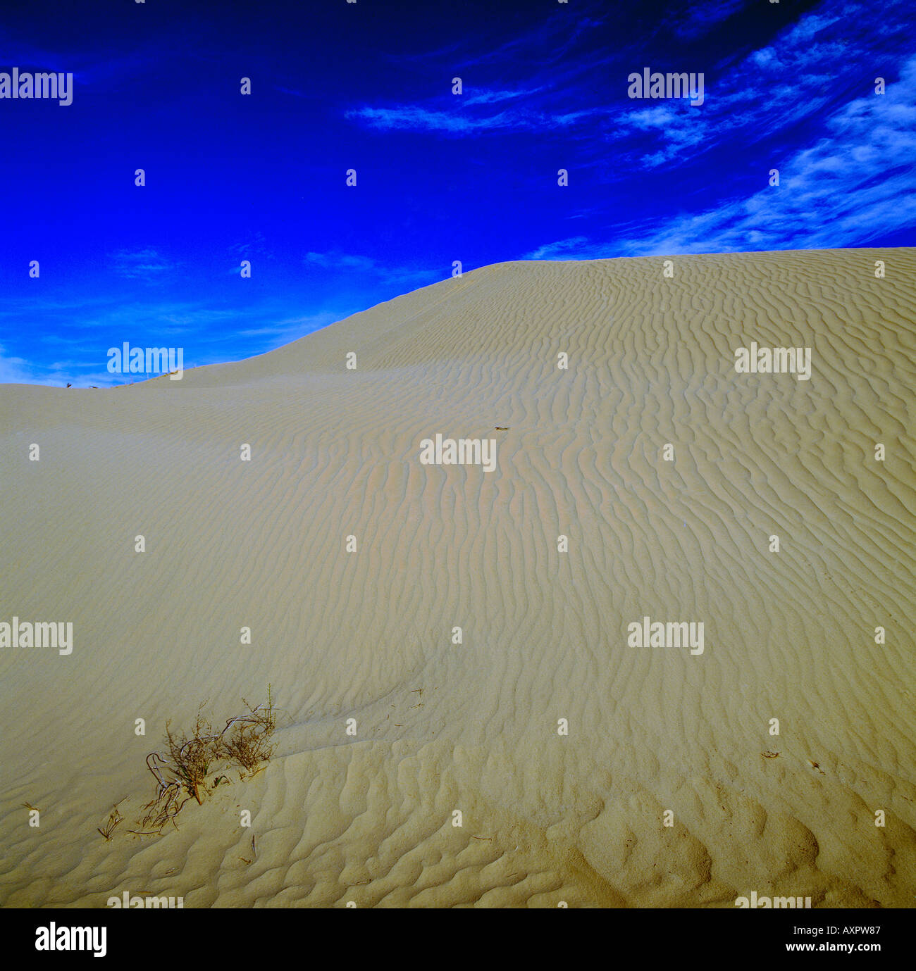 Grand erg hi-res stock photography and images - Alamy