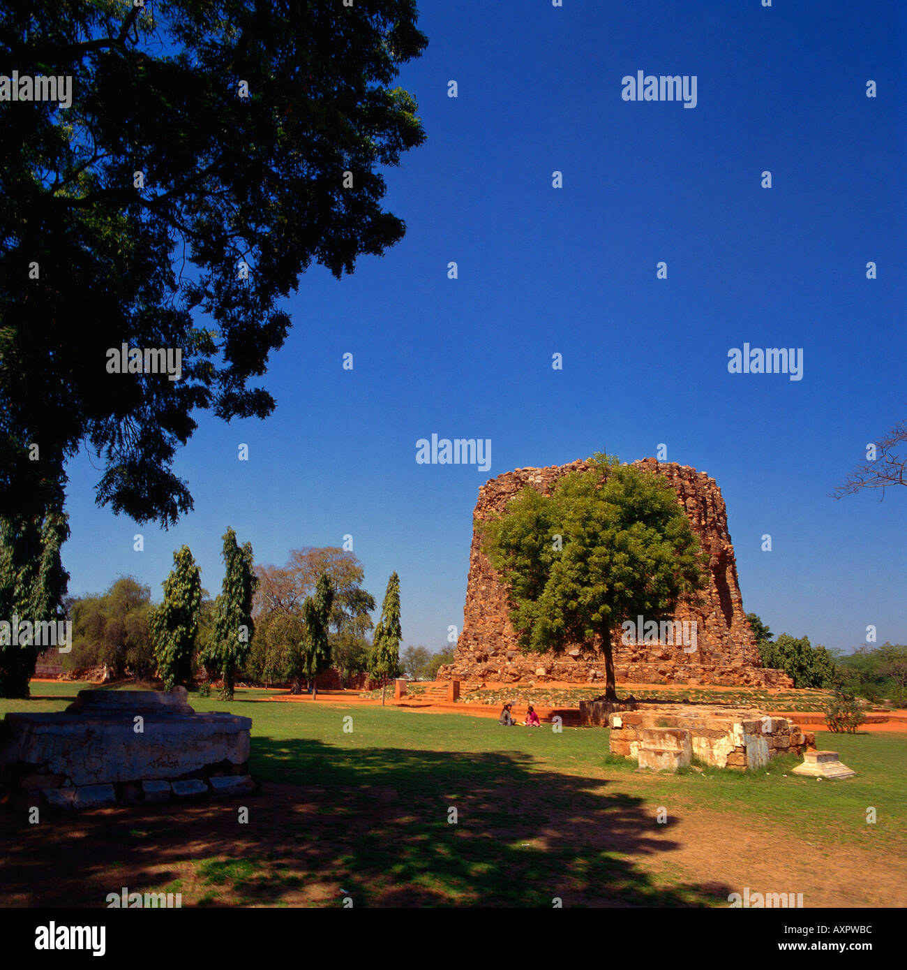 Delhi India Qutab Minar Ashoka Stupa Stock Photo - Alamy