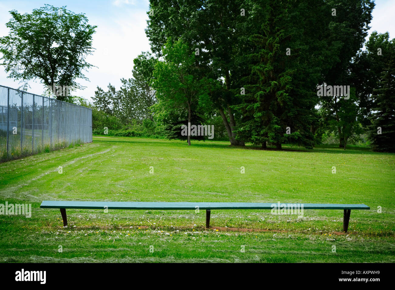 Park with a long bench Stock Photo - Alamy