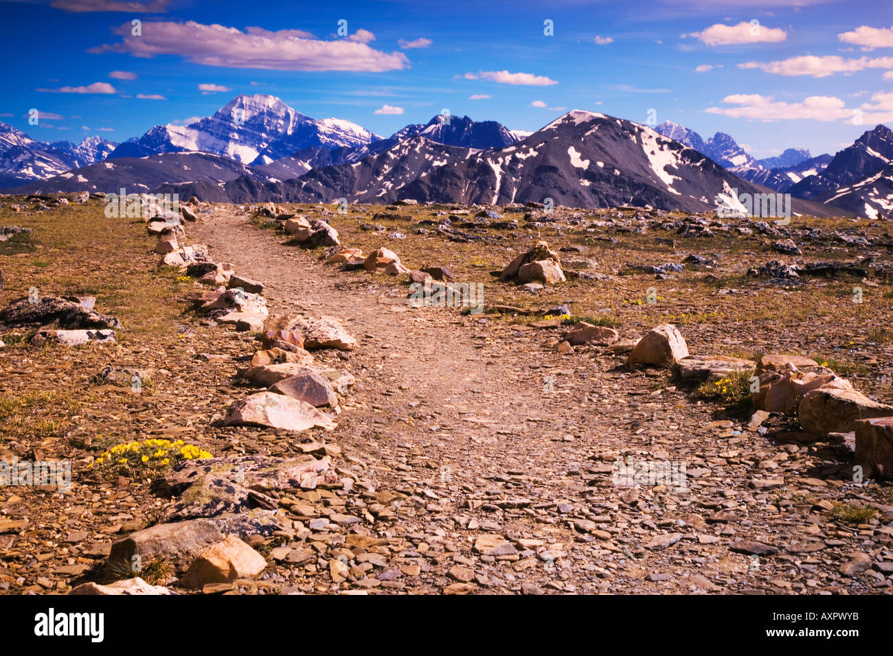Rocky mountain path Stock Photo - Alamy
