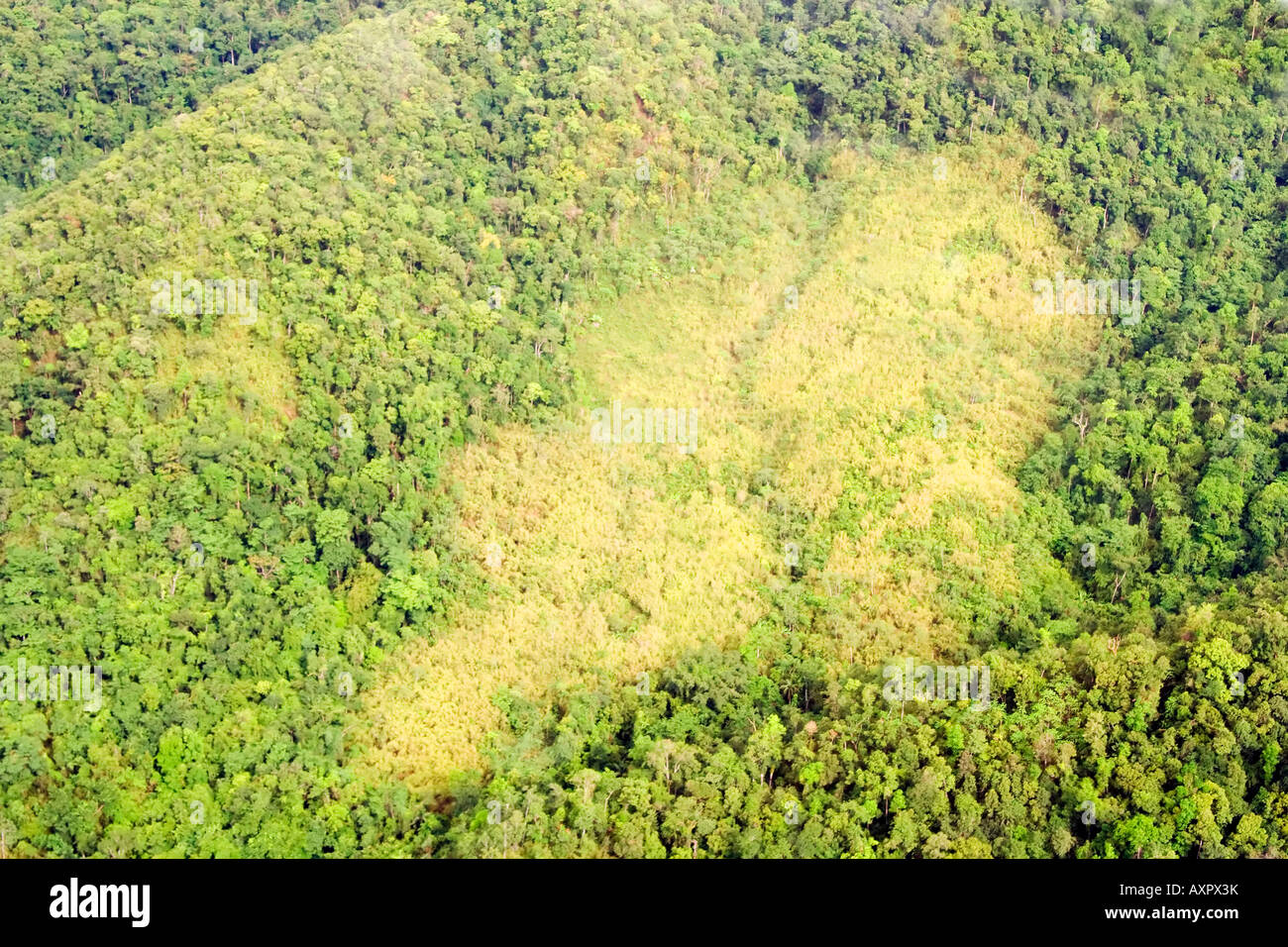 Aerial photograph of a disturbed forest in Coron, Busuanga, Palawan ...