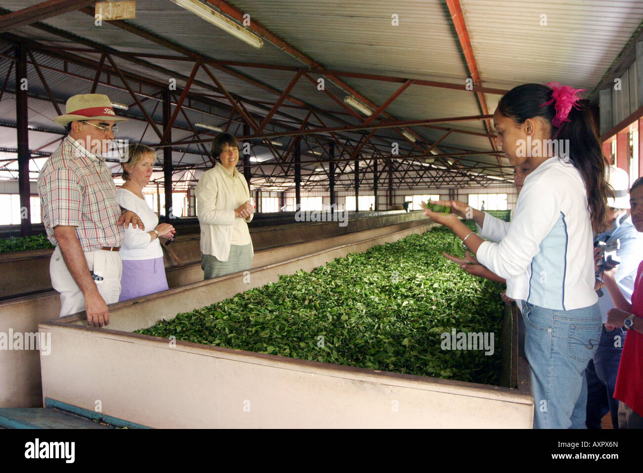 Sri Lanka Tea factory - tourists on a guided tour by the owner, Kandy ...