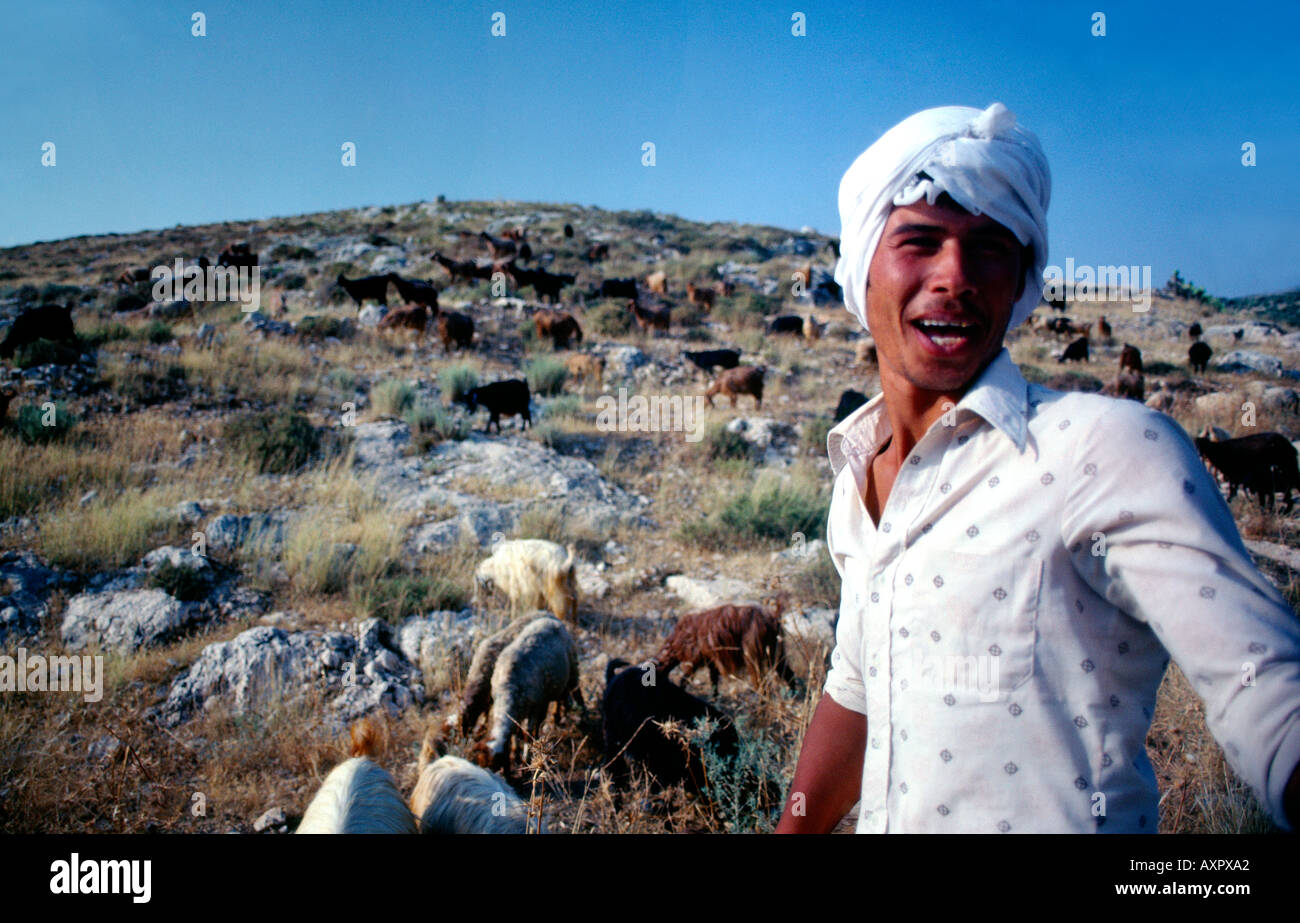 Shepherd flock israel hi-res stock photography and images - Alamy