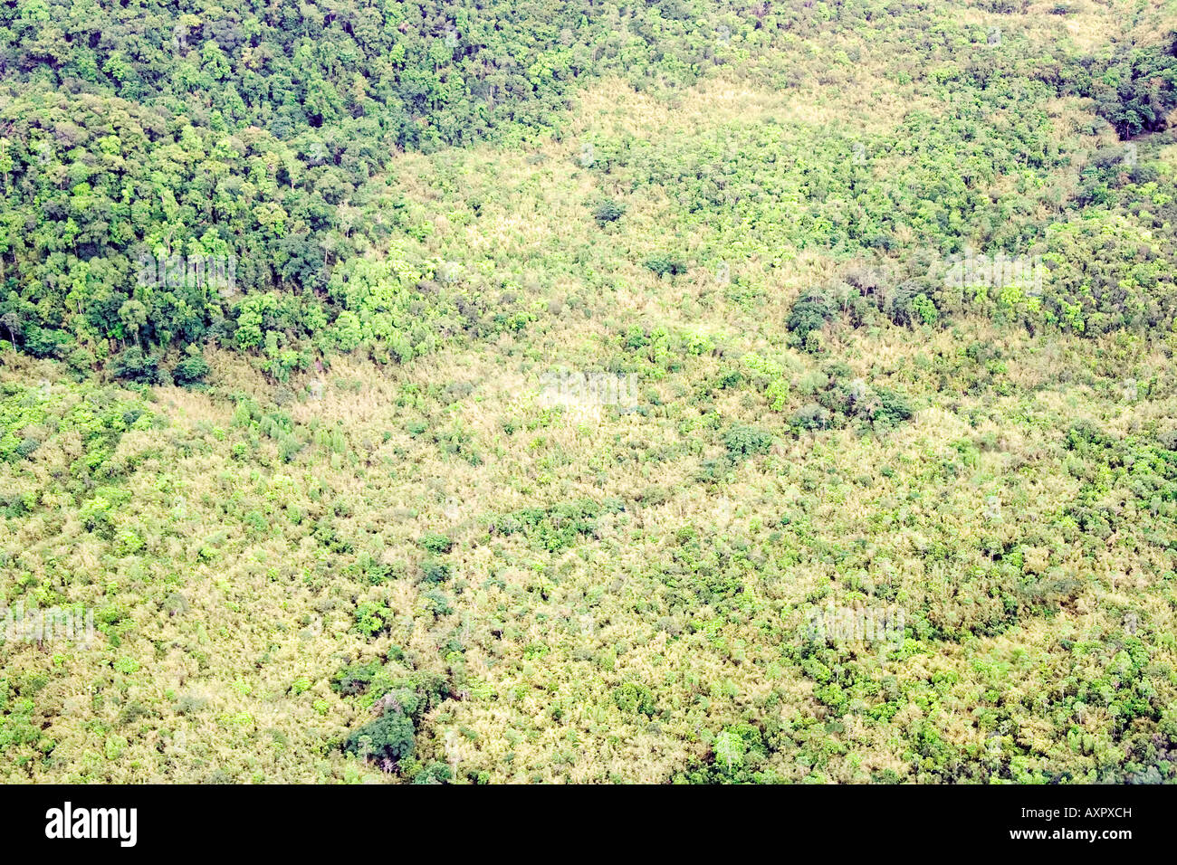 Aerial photograph of a disturbed forest in Coron, Busuanga, Palawan ...