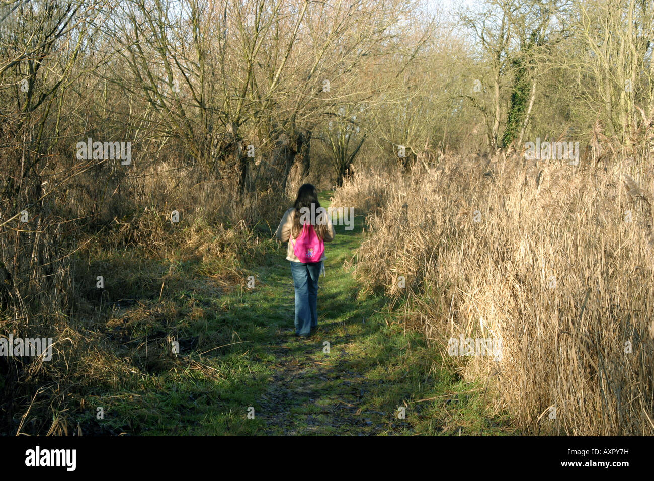 A young girl walks in Lackford Lakes, Suffolk, England Stock Photo - Alamy