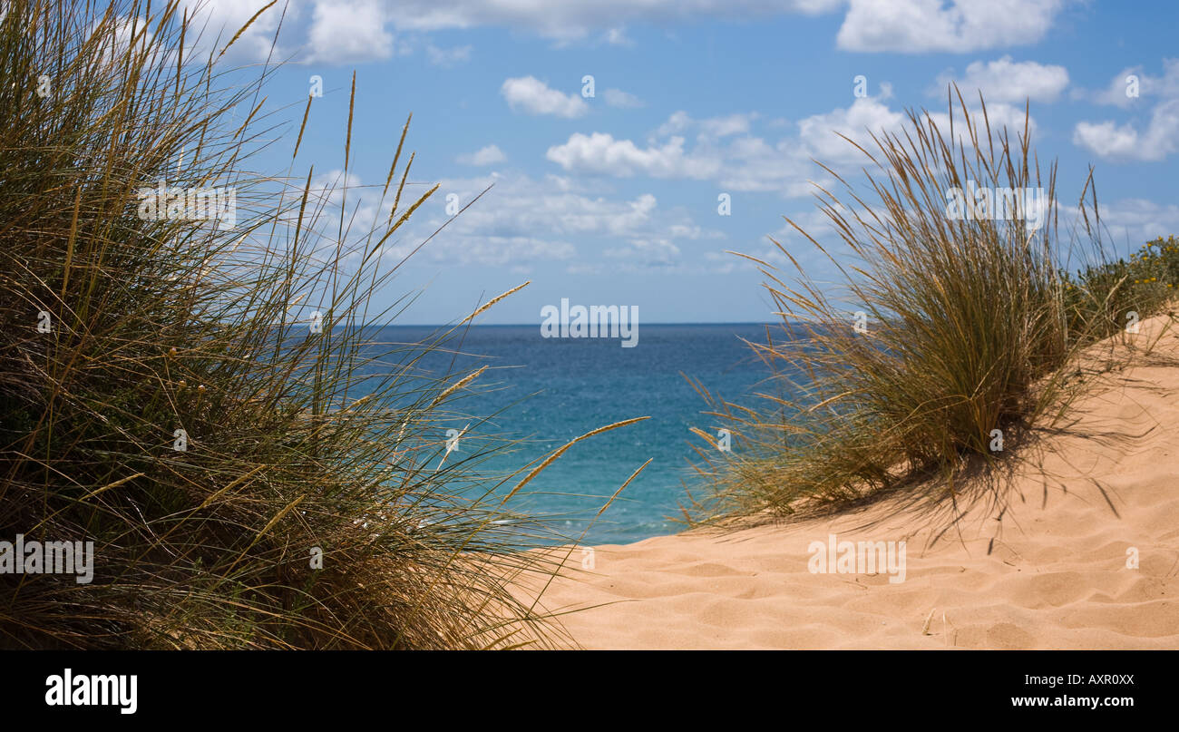 Opening in dunes to beach Stock Photo - Alamy