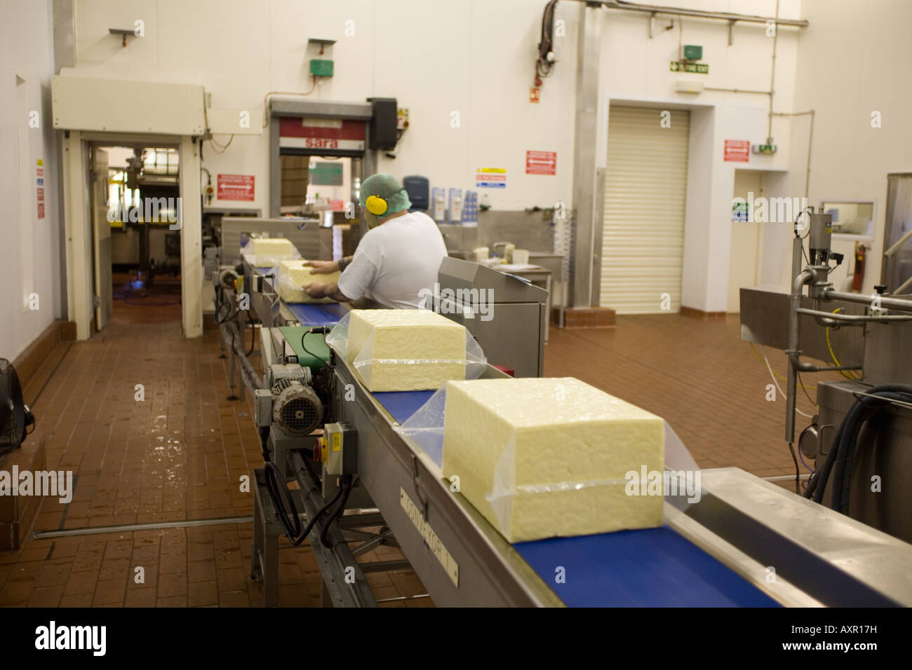 Blocks of cheddar on conveyor belt in Cheese factory processing plant ...
