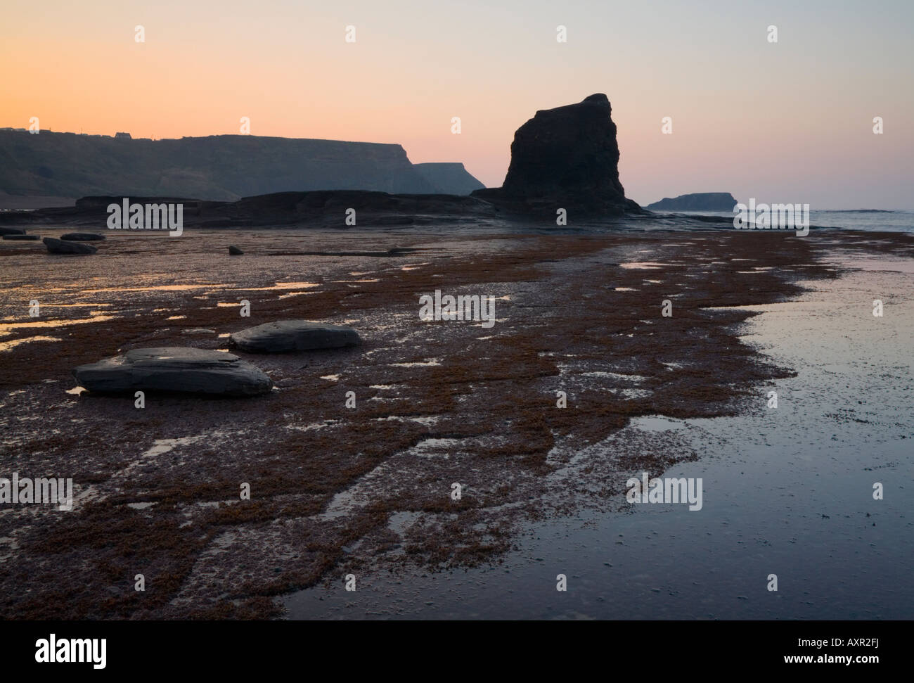 Black nab saltwick bay near hi-res stock photography and images - Alamy