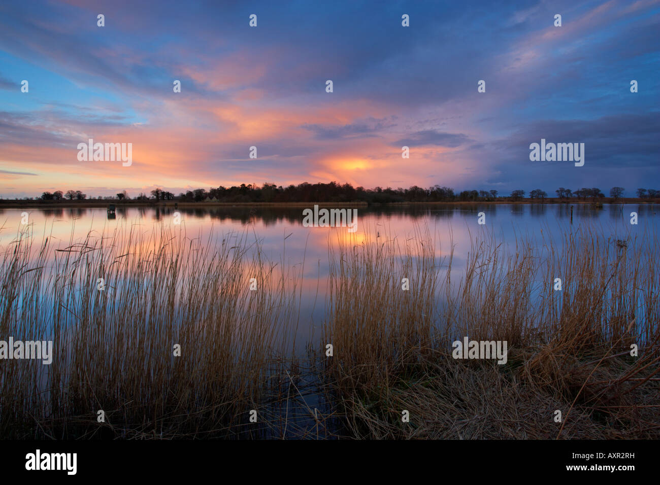 A beautiful twilight at Hardley Flood in the Norfolk Broads Stock Photo ...