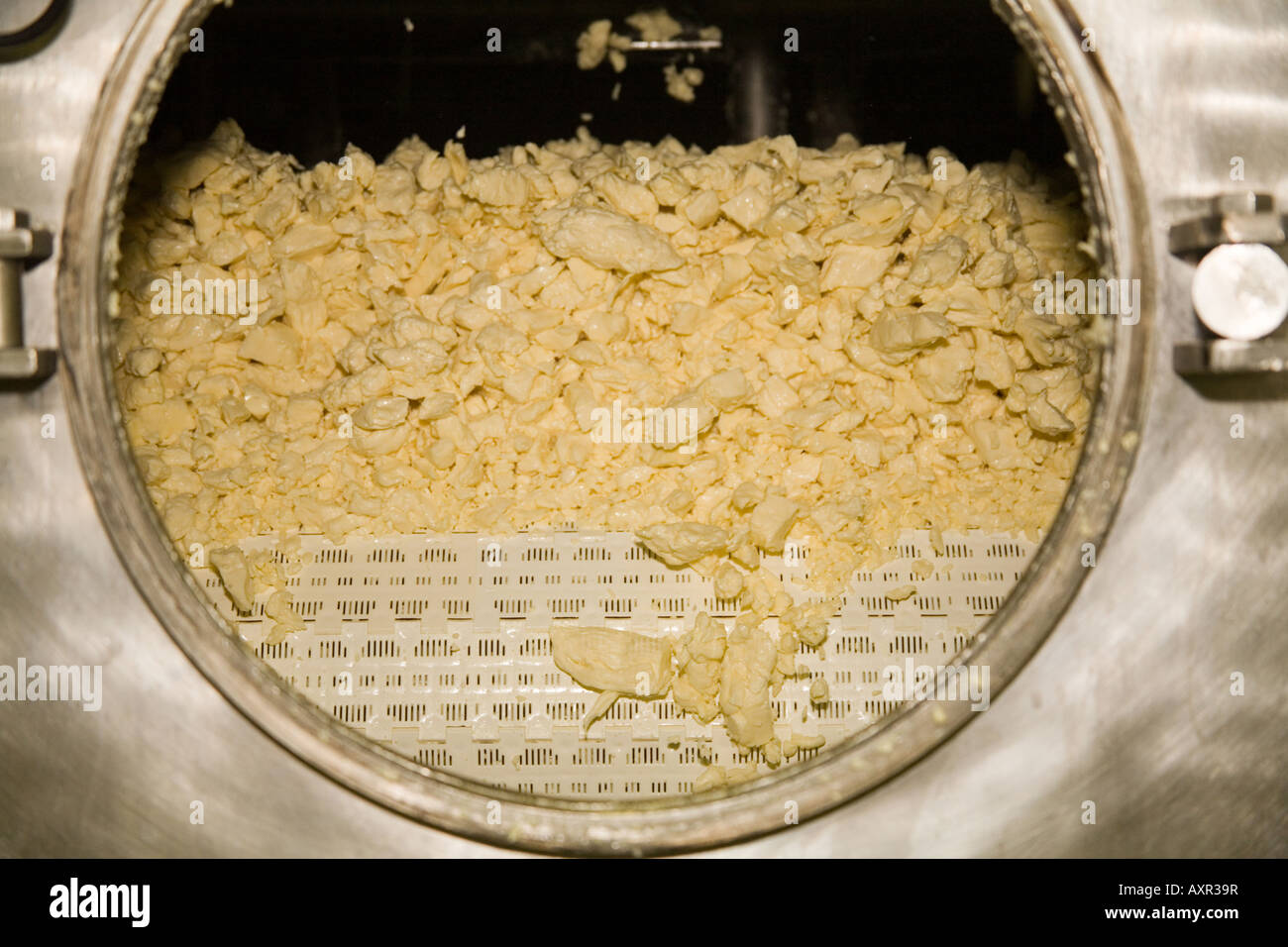 Churn cheese making drums. Cheese factory processing plant. drums and ...