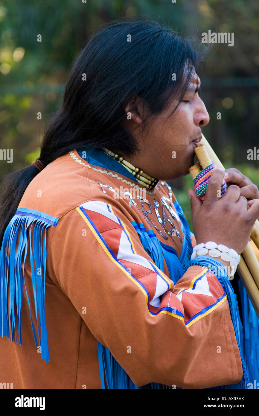 Peruvian man in native costume performing markamasis music with pan ...