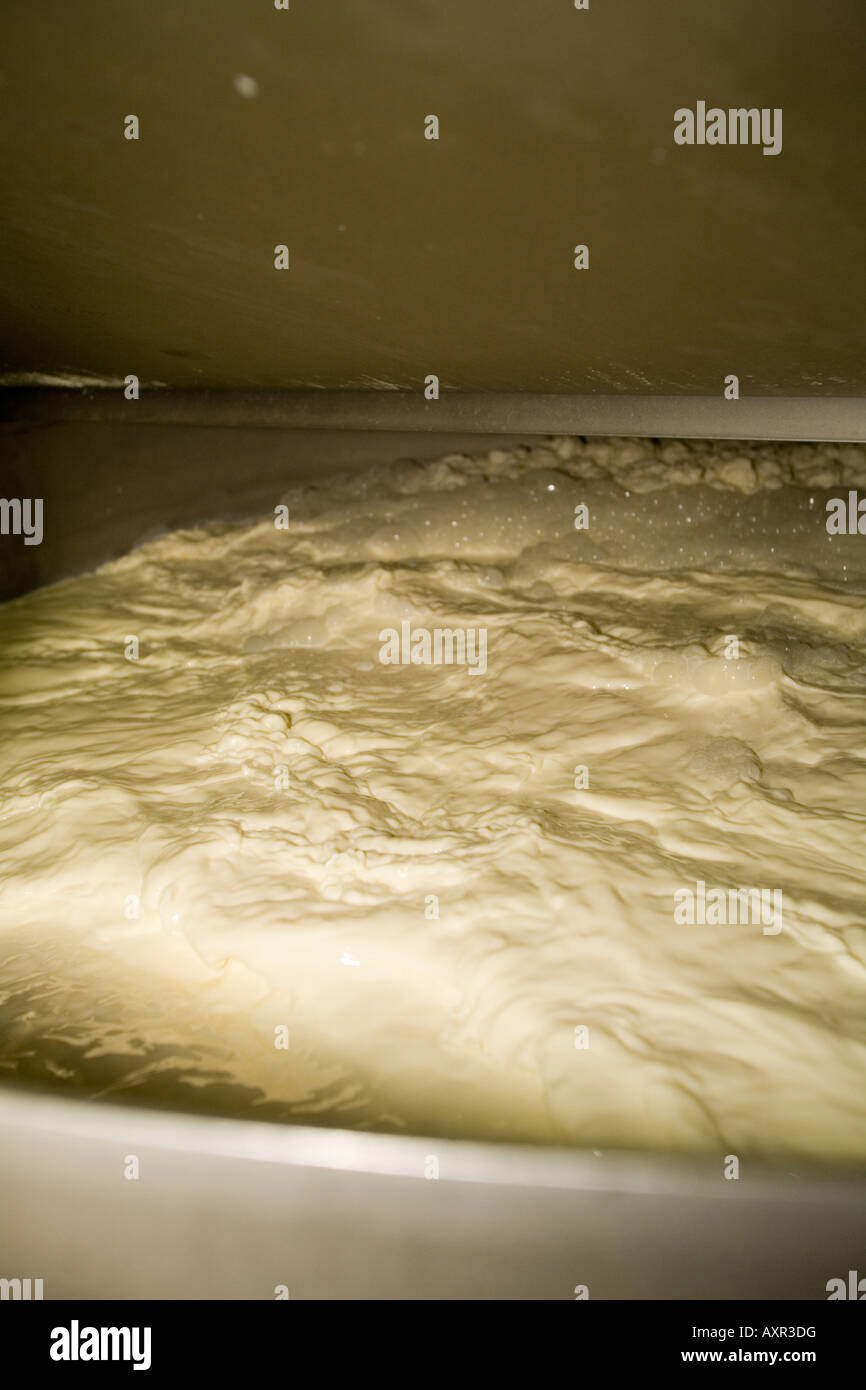 Cheese factory processing plant. cheese making drum upright format ...