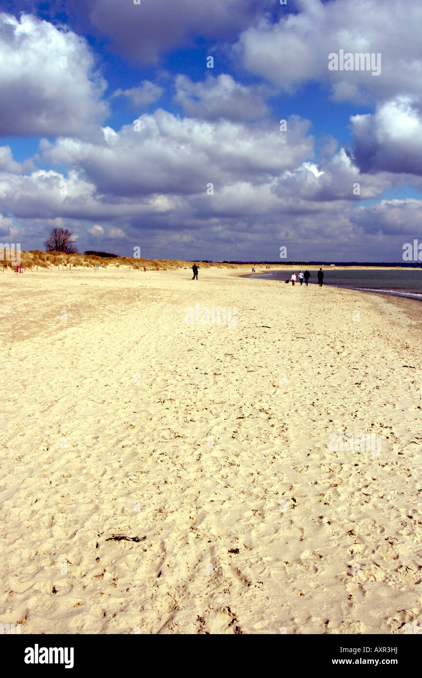 Sand Dunes at Studland Dorset England Stock Photo - Alamy