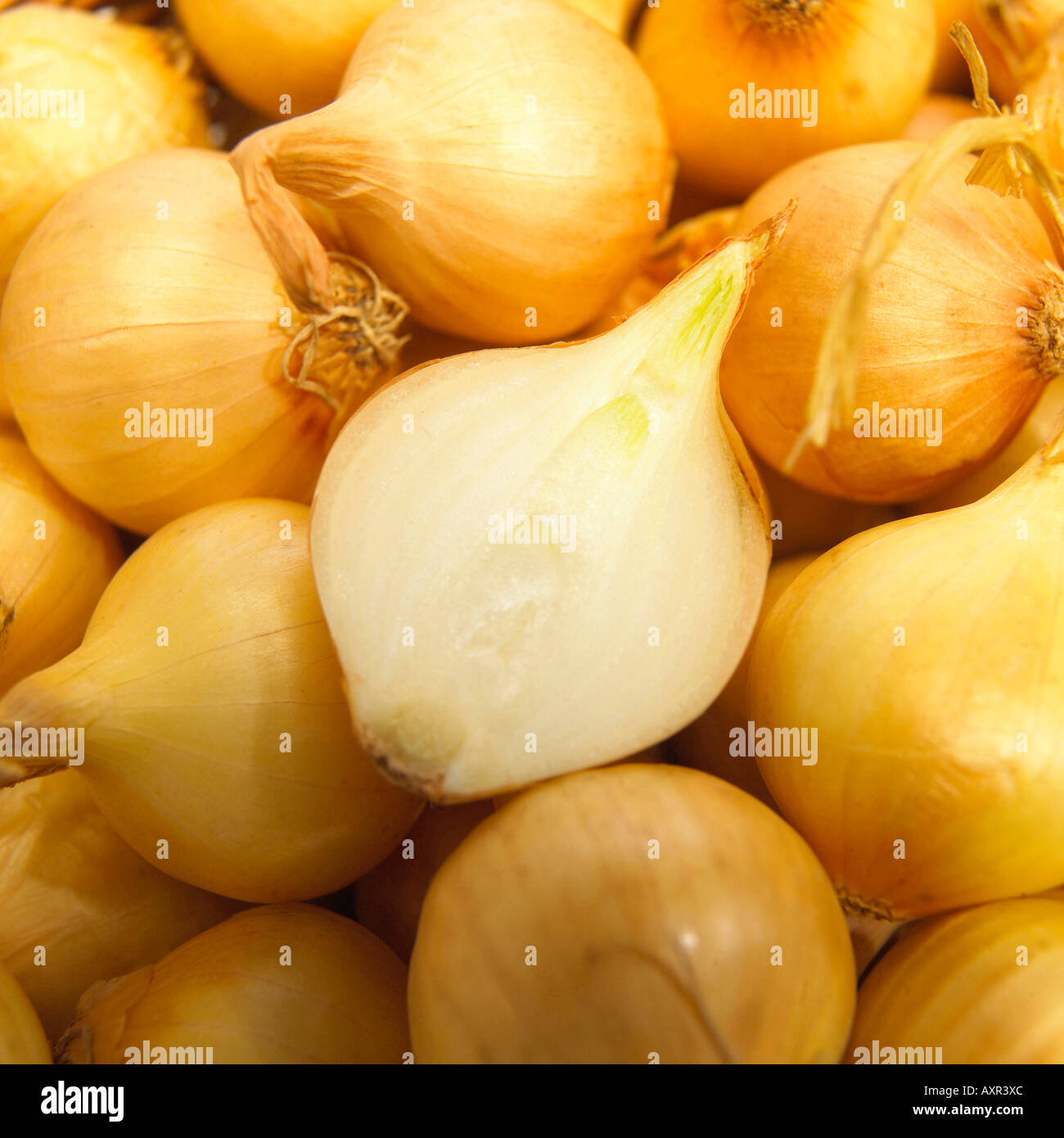 Yellow Pearl Onions Stock Photo - Alamy