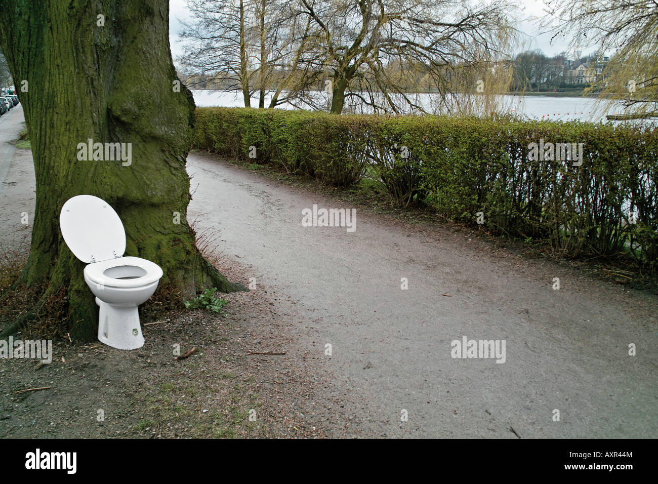 Toilet bowl leaning towards tree Stock Photo - Alamy