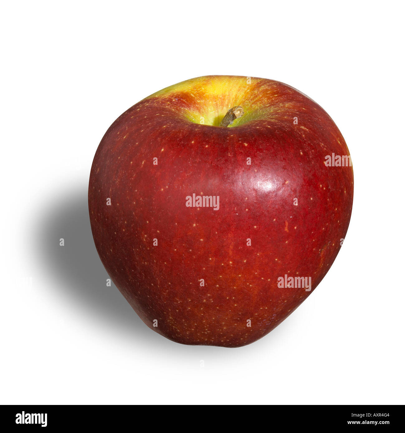 Close up red braeburn apple hi-res stock photography and images - Alamy