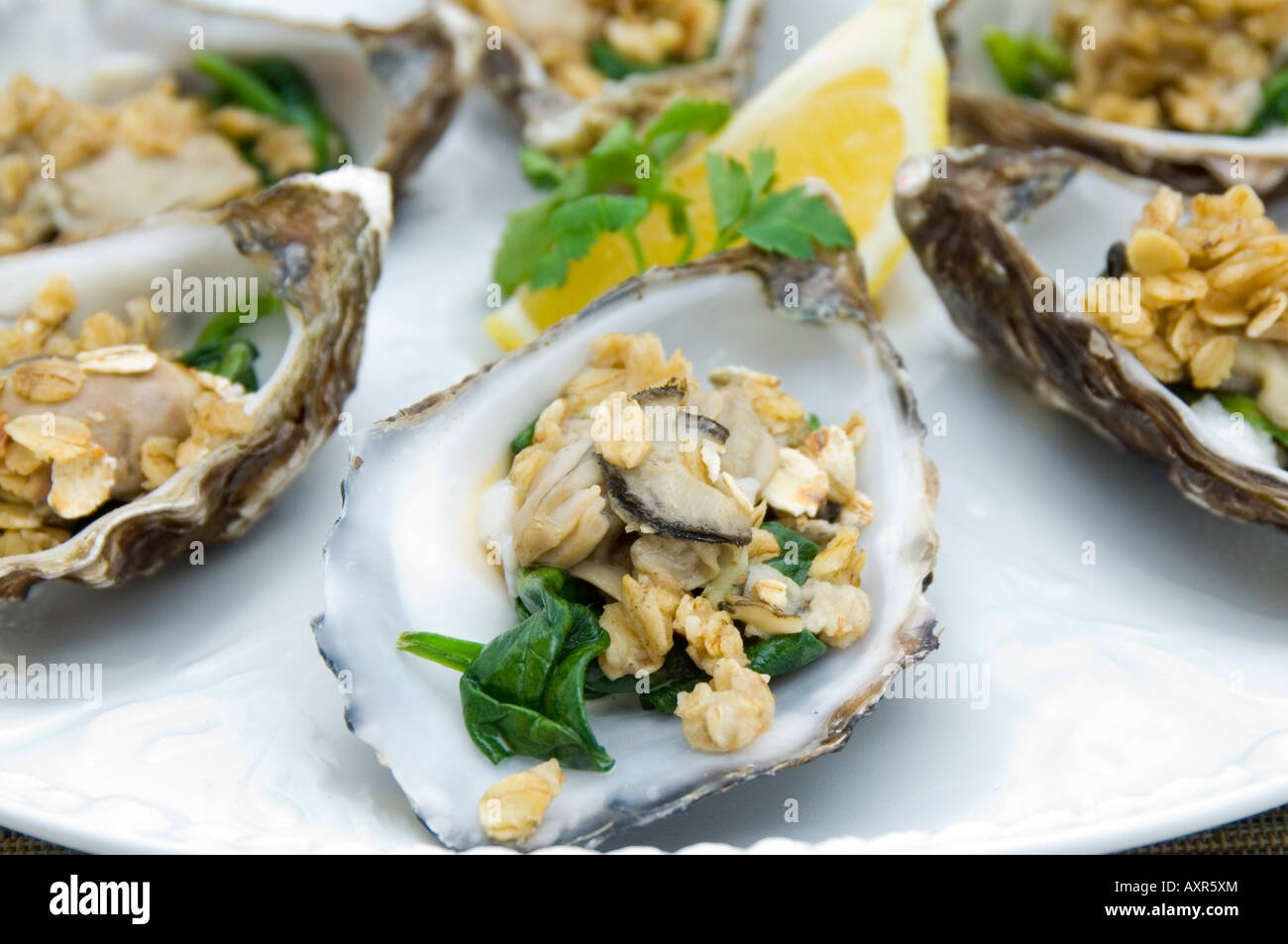 Oysters opened hi-res stock photography and images - Alamy