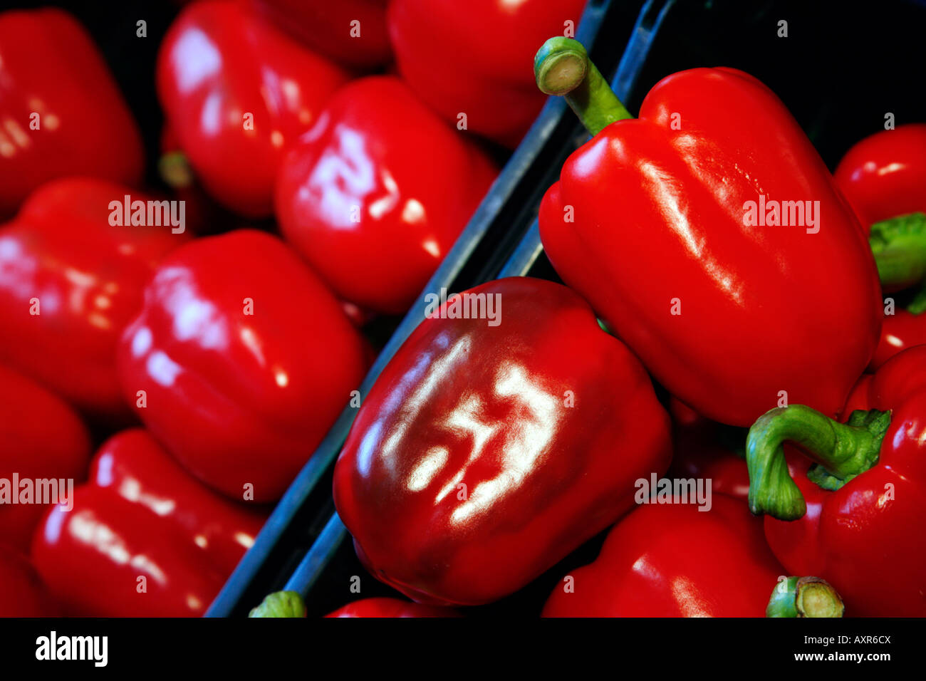 red pepper in a supermarket Stock Photo - Alamy