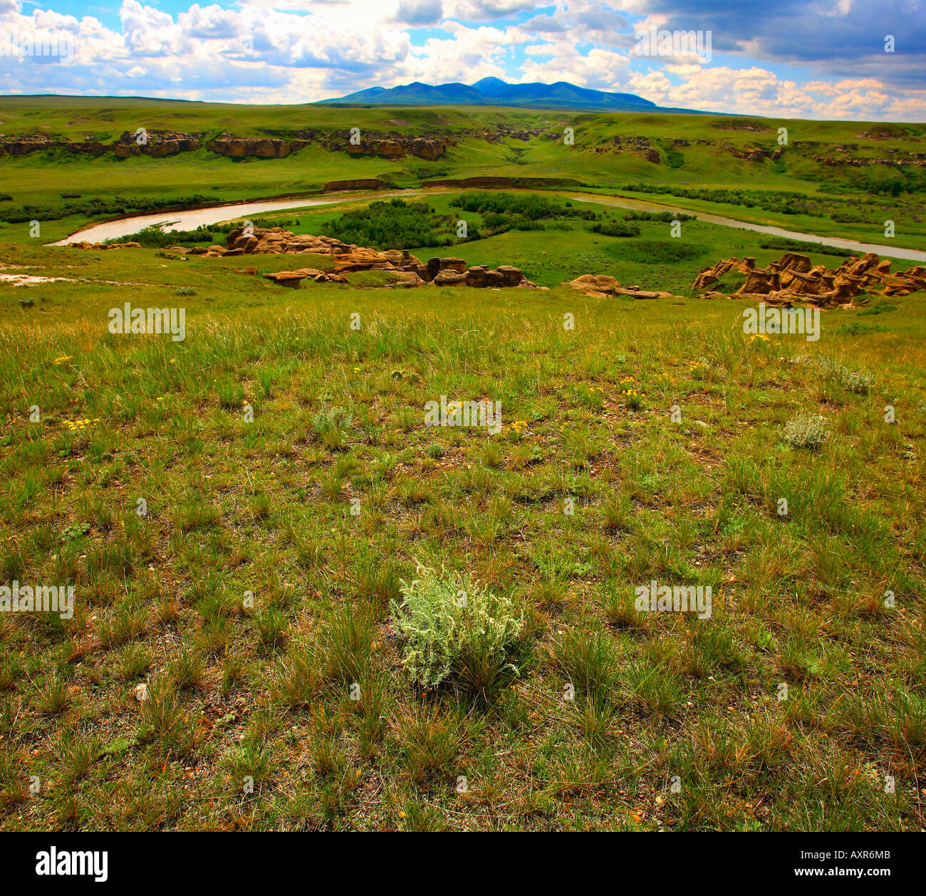 Prairie river valley Stock Photo - Alamy