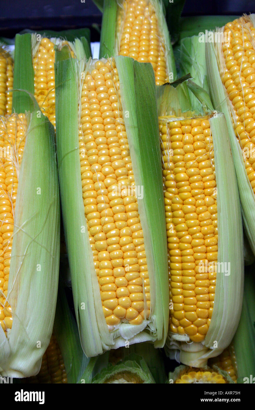 corn on the cob Stock Photo - Alamy