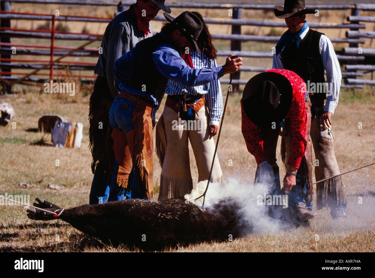 Branding irons hi-res stock photography and images - Alamy