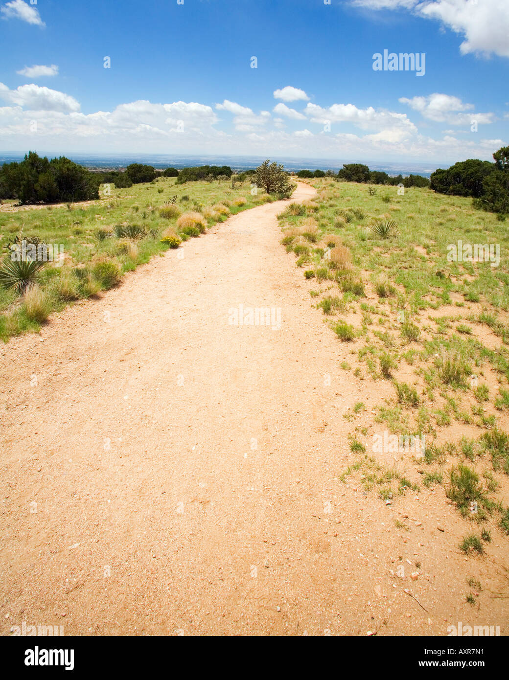 Long winding trail Stock Photo - Alamy