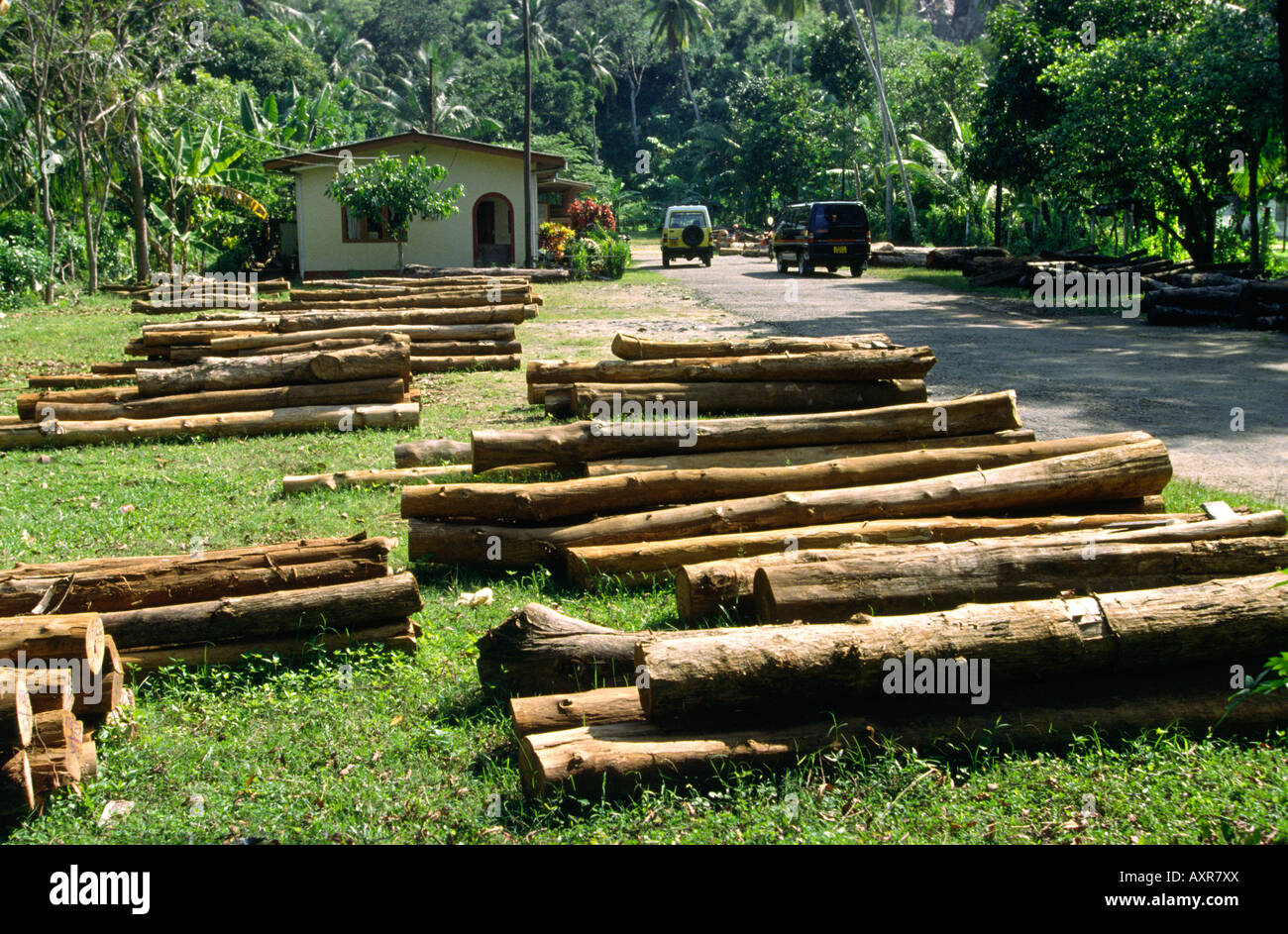 Sri Lanka Unawatuna hardwood logs awaiting processing Stock Photo - Alamy