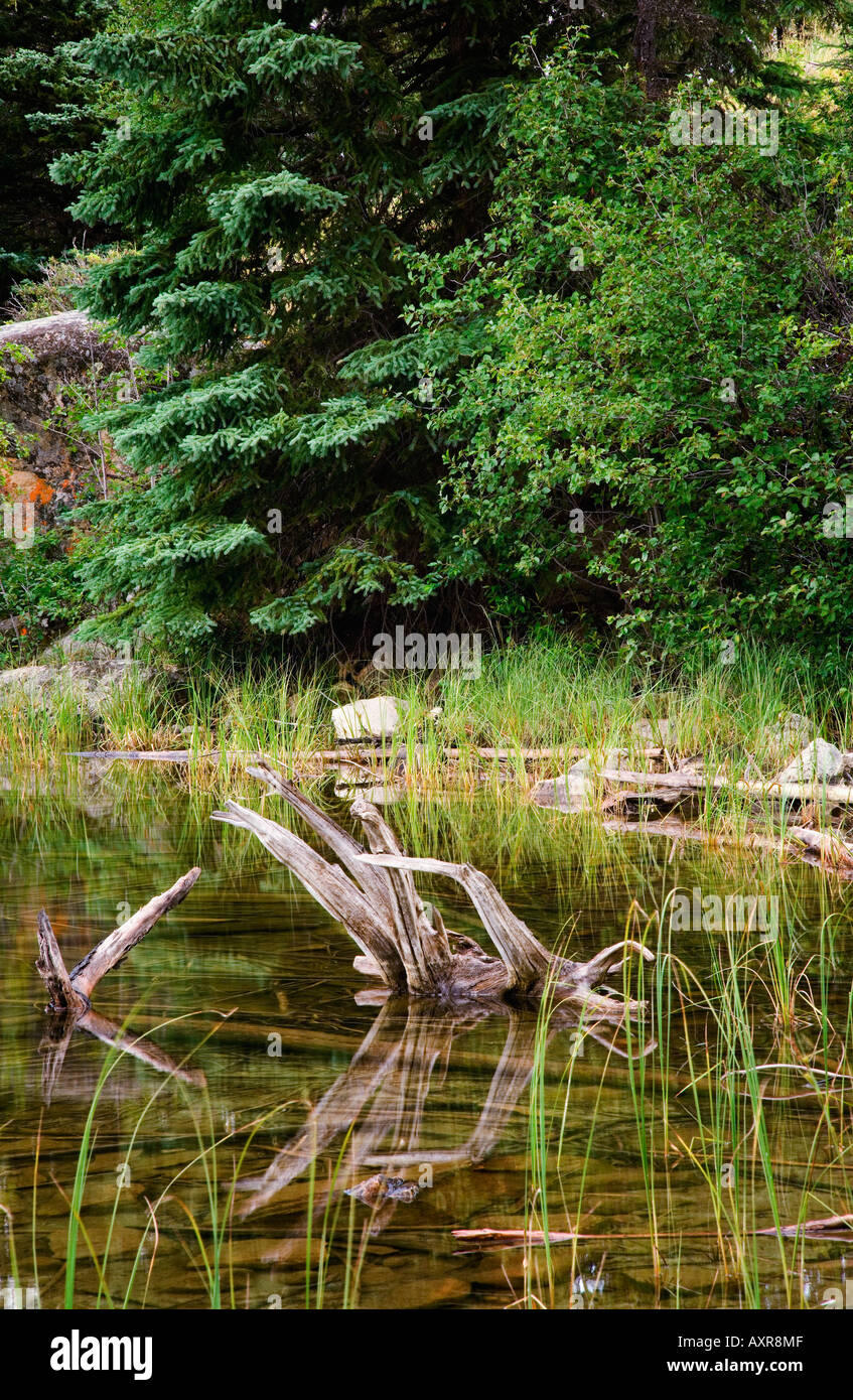 Kelly pond hi-res stock photography and images - Alamy