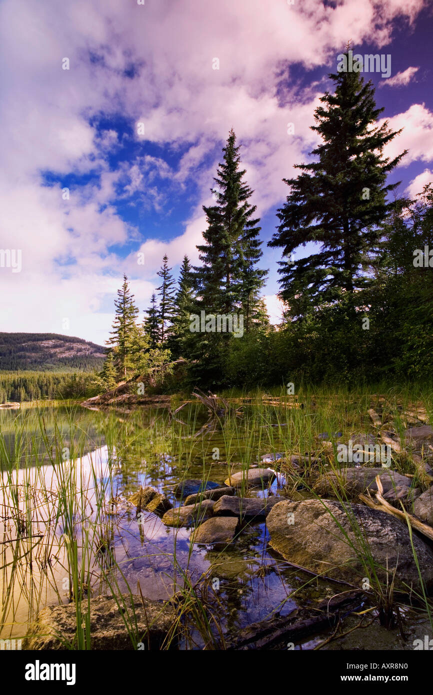 Kelly pond hi-res stock photography and images - Alamy