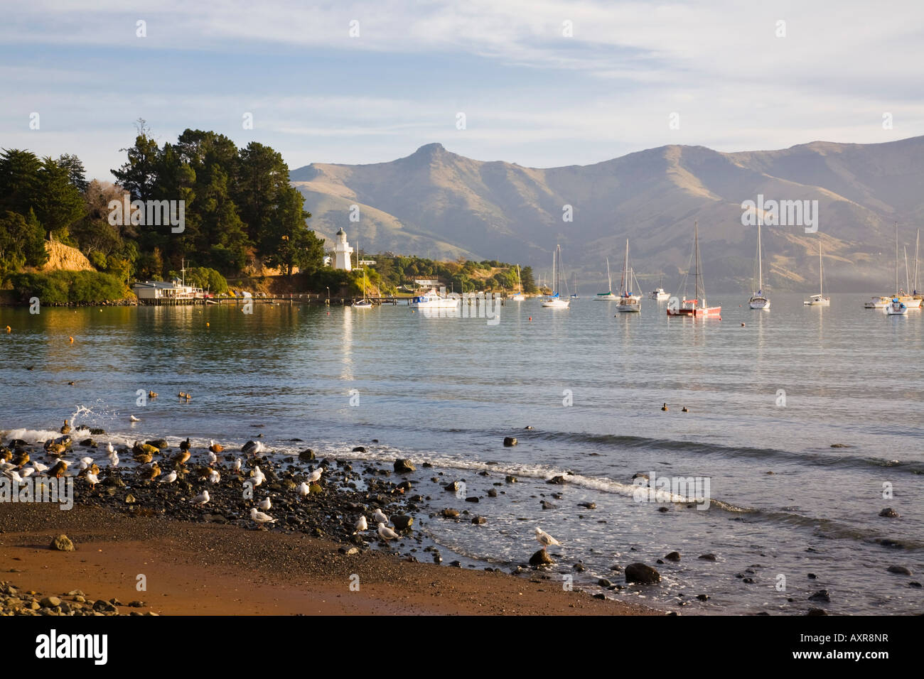 View from seashore to lighthouse across French Bay in Akaroa on Banks ...