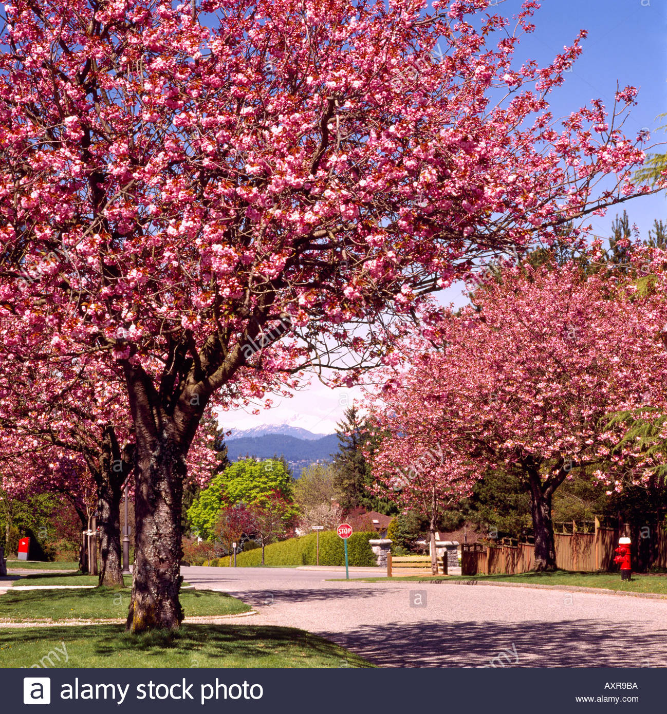 Gunter marx hi-res stock photography and images - Alamy