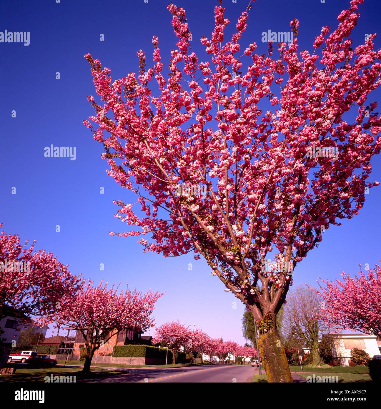 Gunter marx hi-res stock photography and images - Alamy