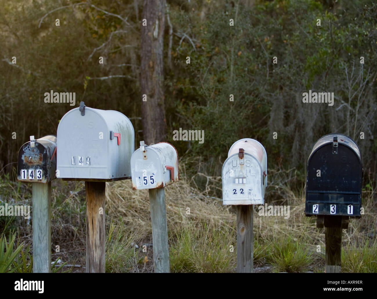 Mailboxes on a rural road Stock Photo - Alamy