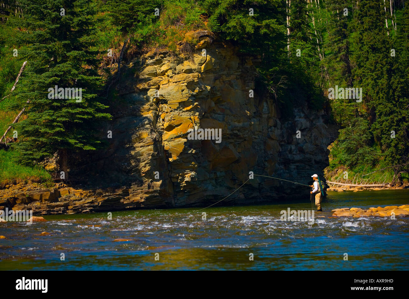 Fly fishing in a river Stock Photo - Alamy