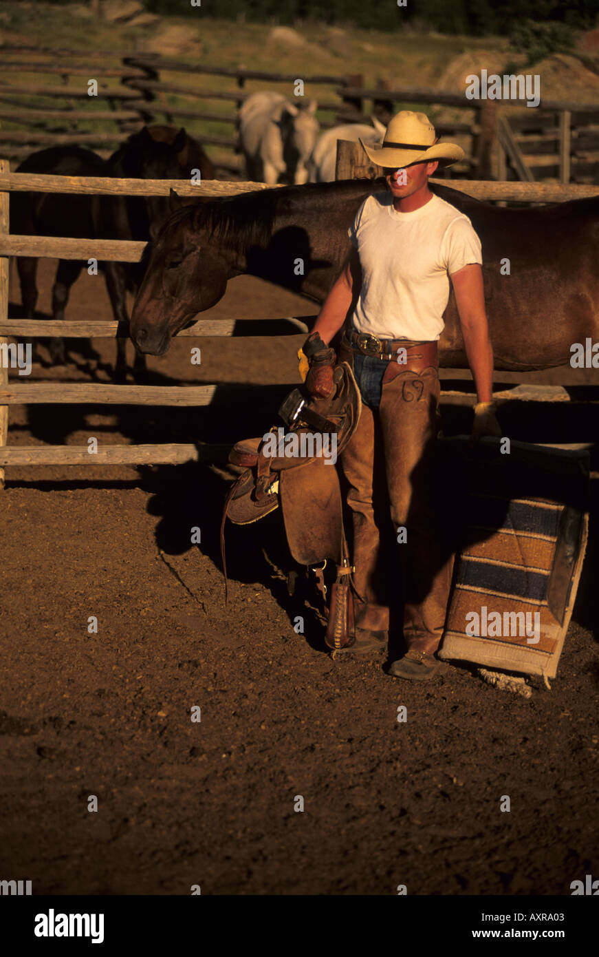 Cowboy 20s with a saddle and saddle blanket in a corral with horses ...