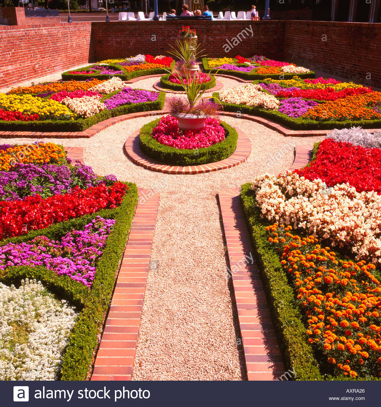 Plants pacific northwest border hi-res stock photography and images - Alamy