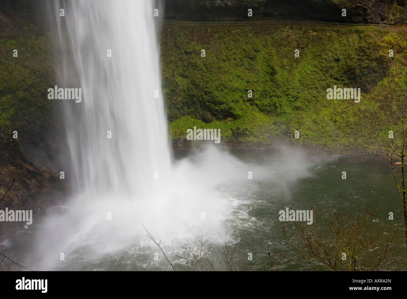 South Falls Silver Creek Falls State Park Oregon USA Stock Photo - Alamy