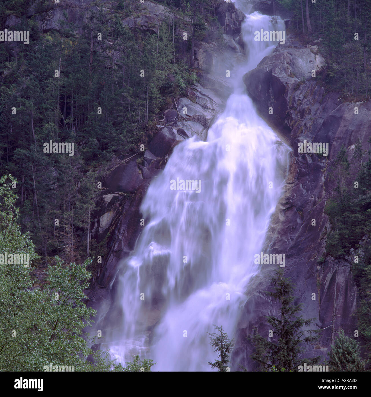 Shannon Falls in Shannon Falls Provincial Park near Squamish British ...
