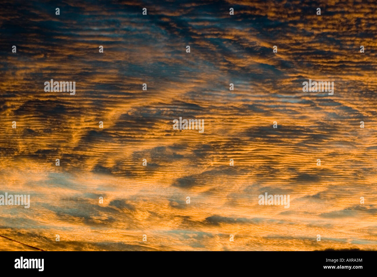 gold clouds at sunset Stock Photo - Alamy