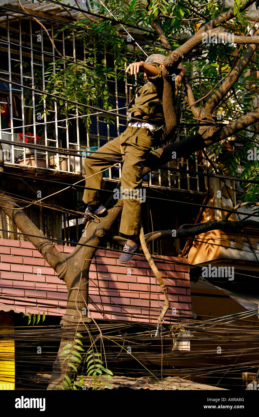 Hanoi vietnam cable cables hi-res stock photography and images - Alamy