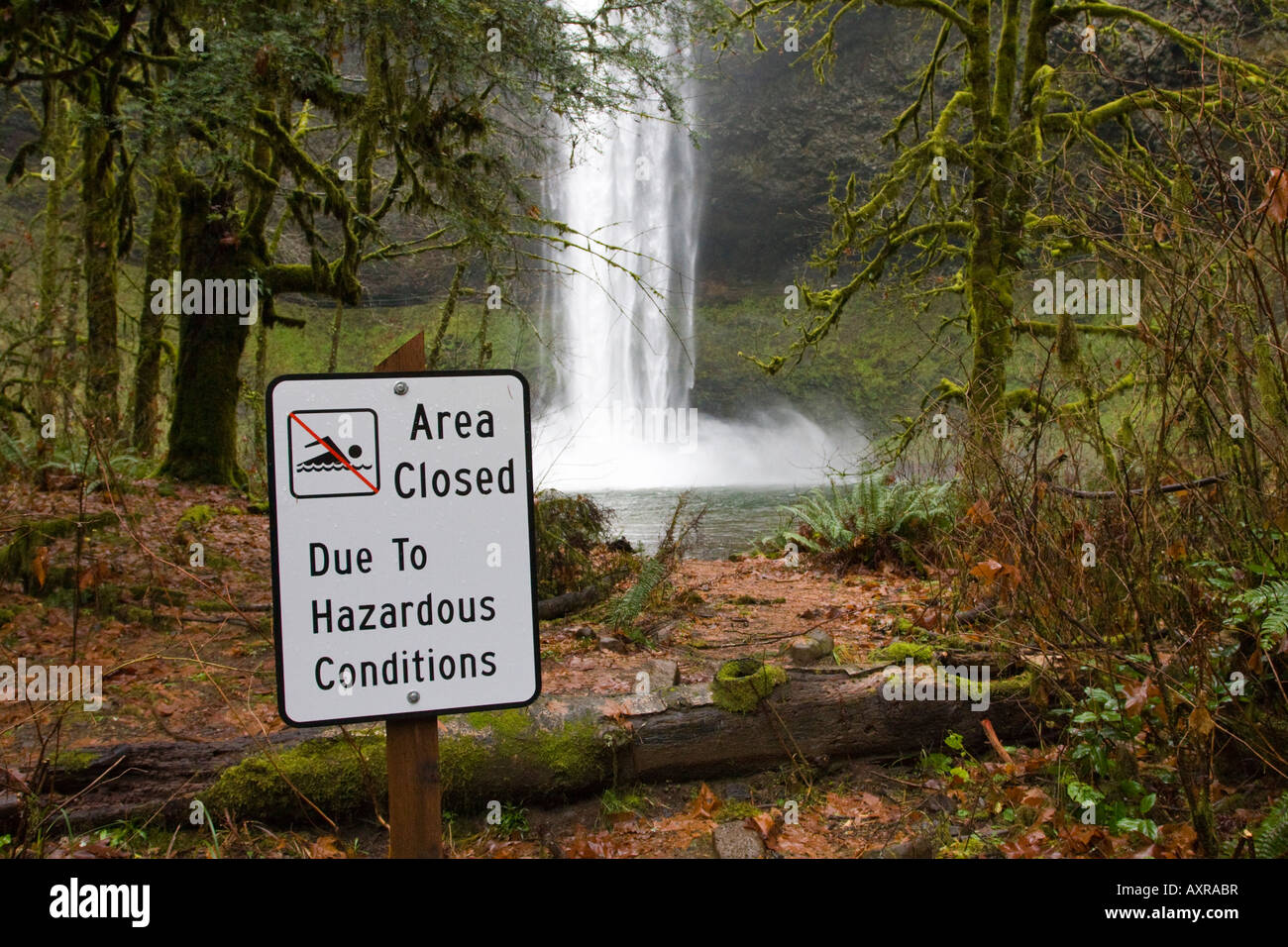 South Falls Silver Creek Falls State Park Oregon USA Stock Photo - Alamy